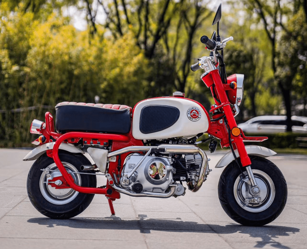 GZ Mini Q - Skyteambike