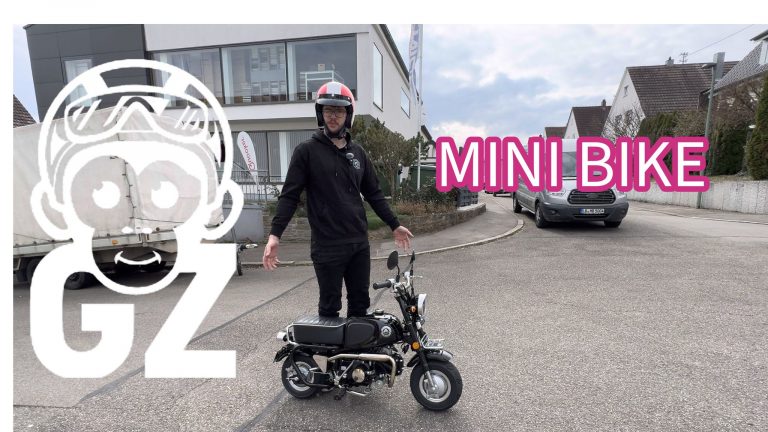 Skyteambike Germany : Klassik trifft Innovation – Fahrspaß im Retro-Look - Skyteambike